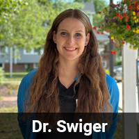 Doctors - Vet In North Royalton |North Royalton AH